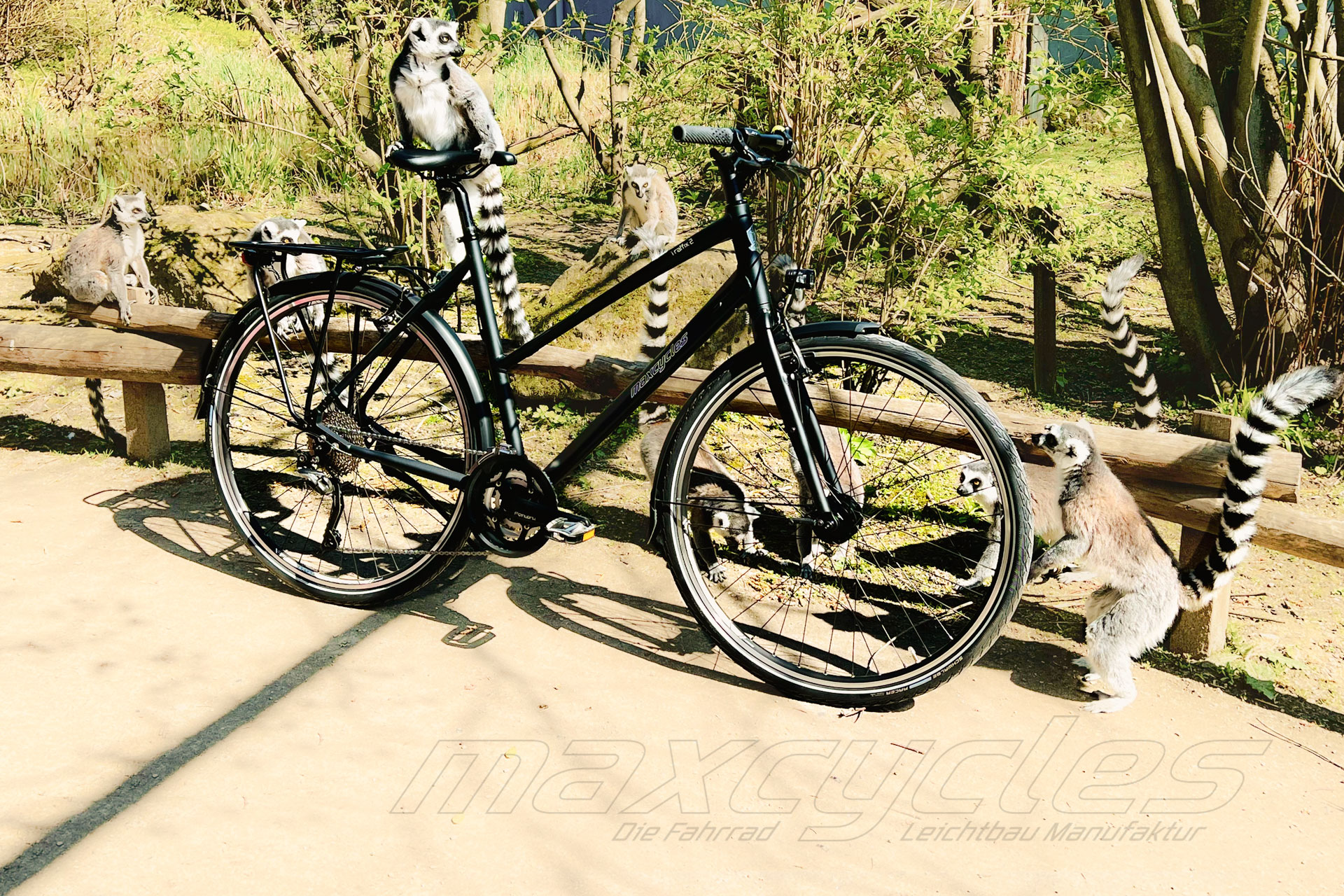 Traffix 2 - MaxCycles